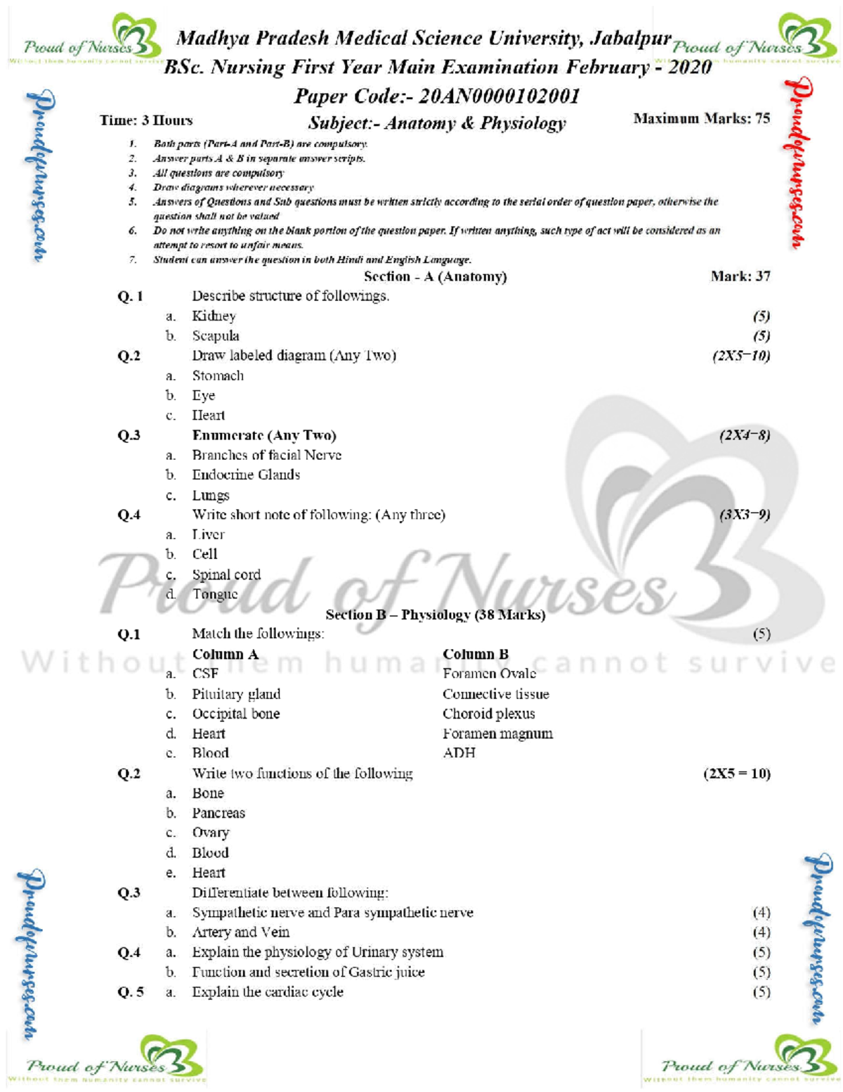 1st Year Anatomy & Physiology 2020 - Nursing Study material - Studocu