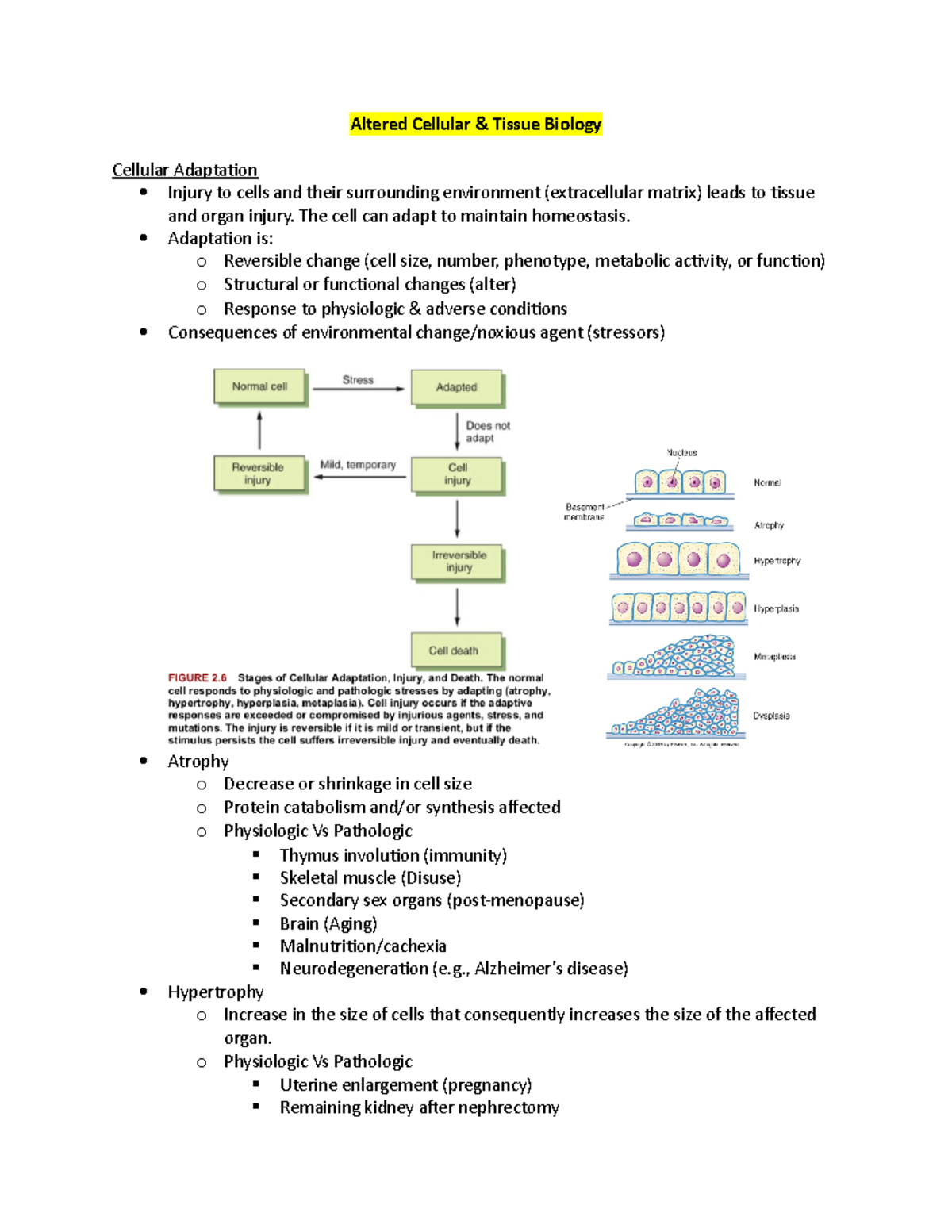 Pathophysiology Notes - HLSC 2460U - Ontario Tech University - Studocu