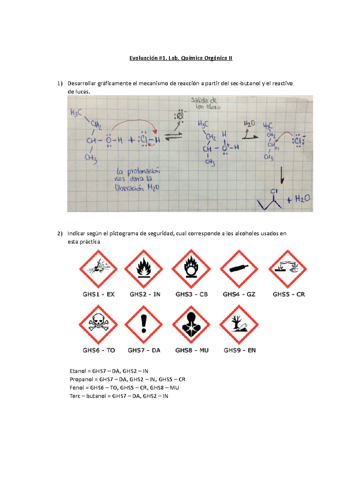 Paso 1 (Lab QO) - Laboratorio de organica 2 - Evaluación #1. Lab. Química Orgánica II ...