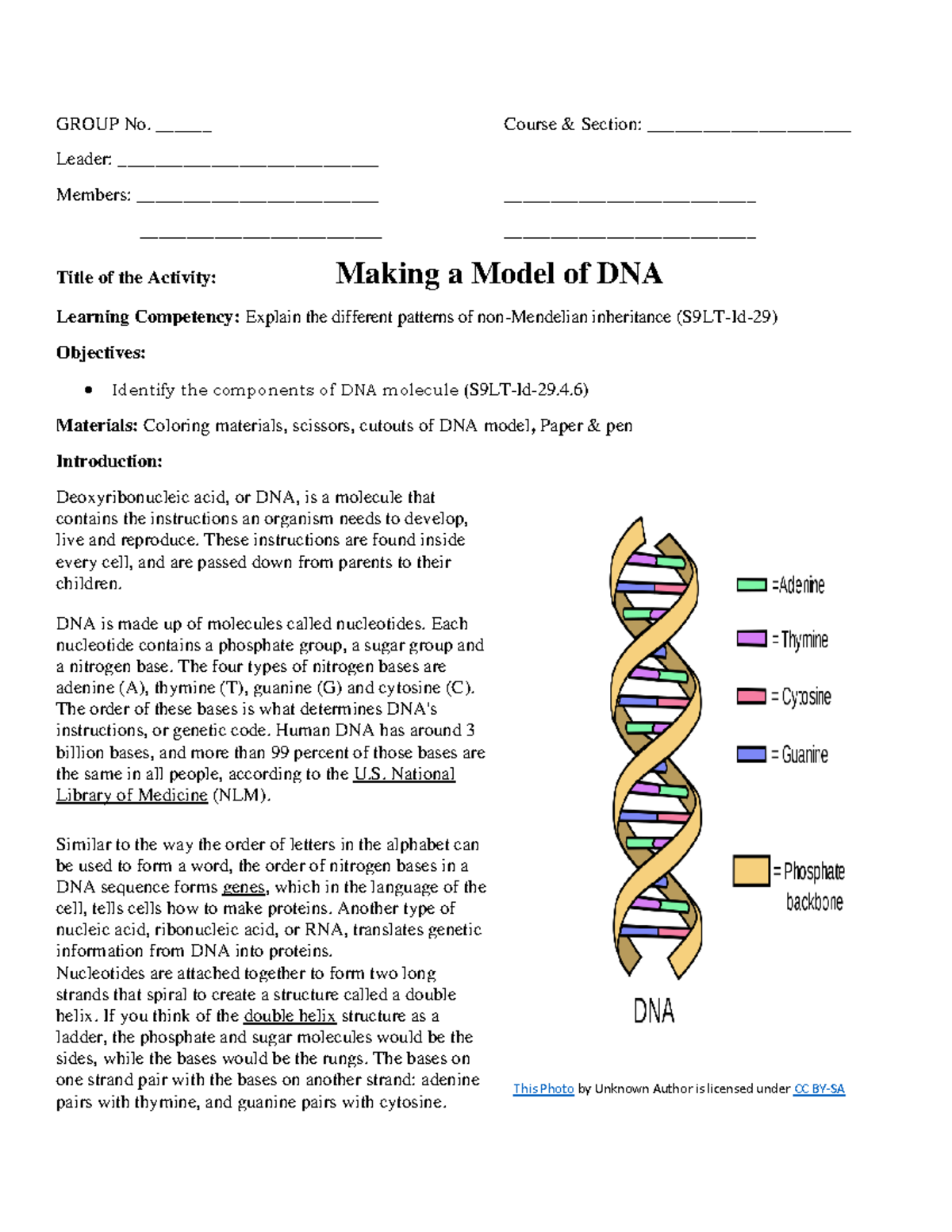 Laboratoru Output 7 Making Model of DNA - GROUP No. ______ Course ...