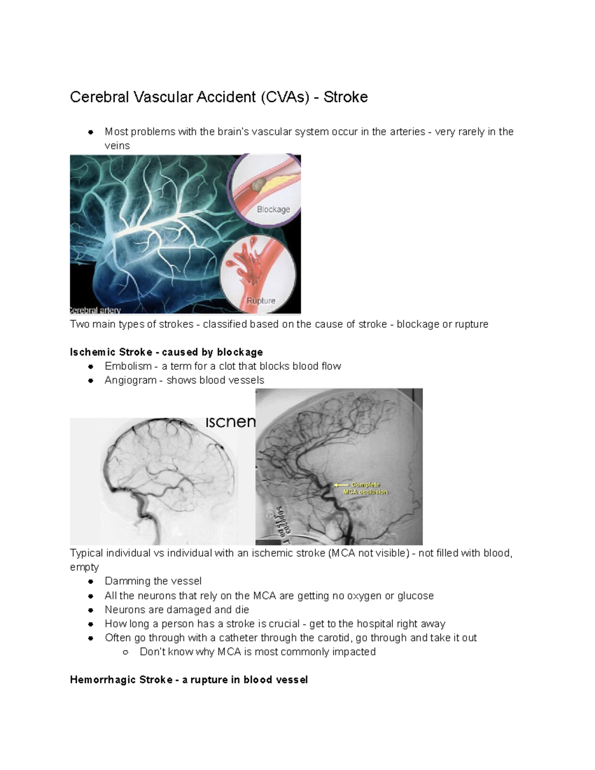 Human Neurospychology - Neurological Disorders Cerebral Vascular ...