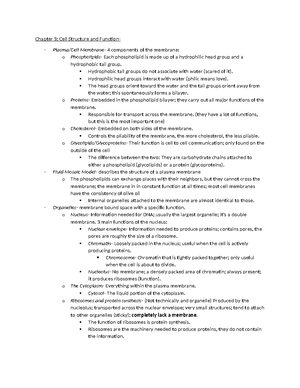 Chapter 5 Anatomy & Physiology - Chapter 5: Integumentary System ...