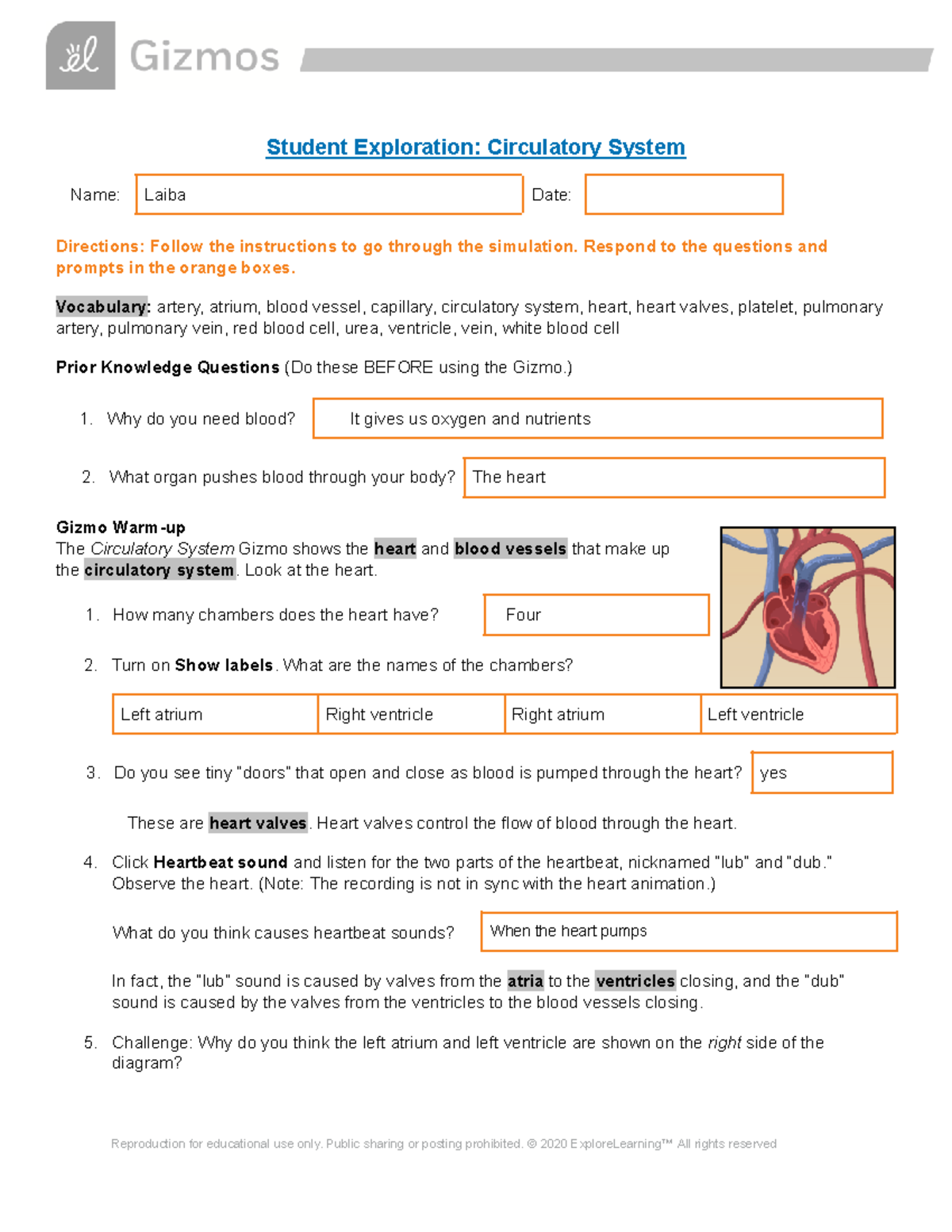 Circulatory System SE - Student Exploration: Circulatory System Name ...