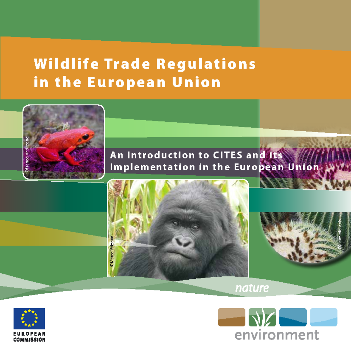 Wildlife Trade Regulation in EU - ©Franco Andreone ©Marco Valentini ...