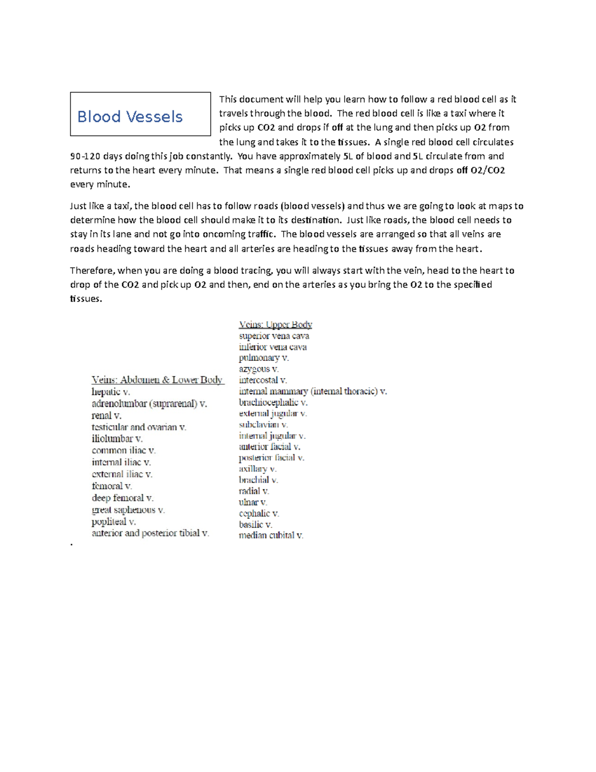 Tracing blood vessels instructions - Copy - This document will help you ...