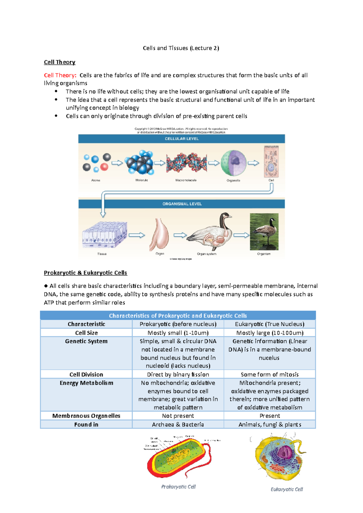 Lecuture 2 Notes - Cells and Tissues (Lecture 2) Cell Theory Cell ...