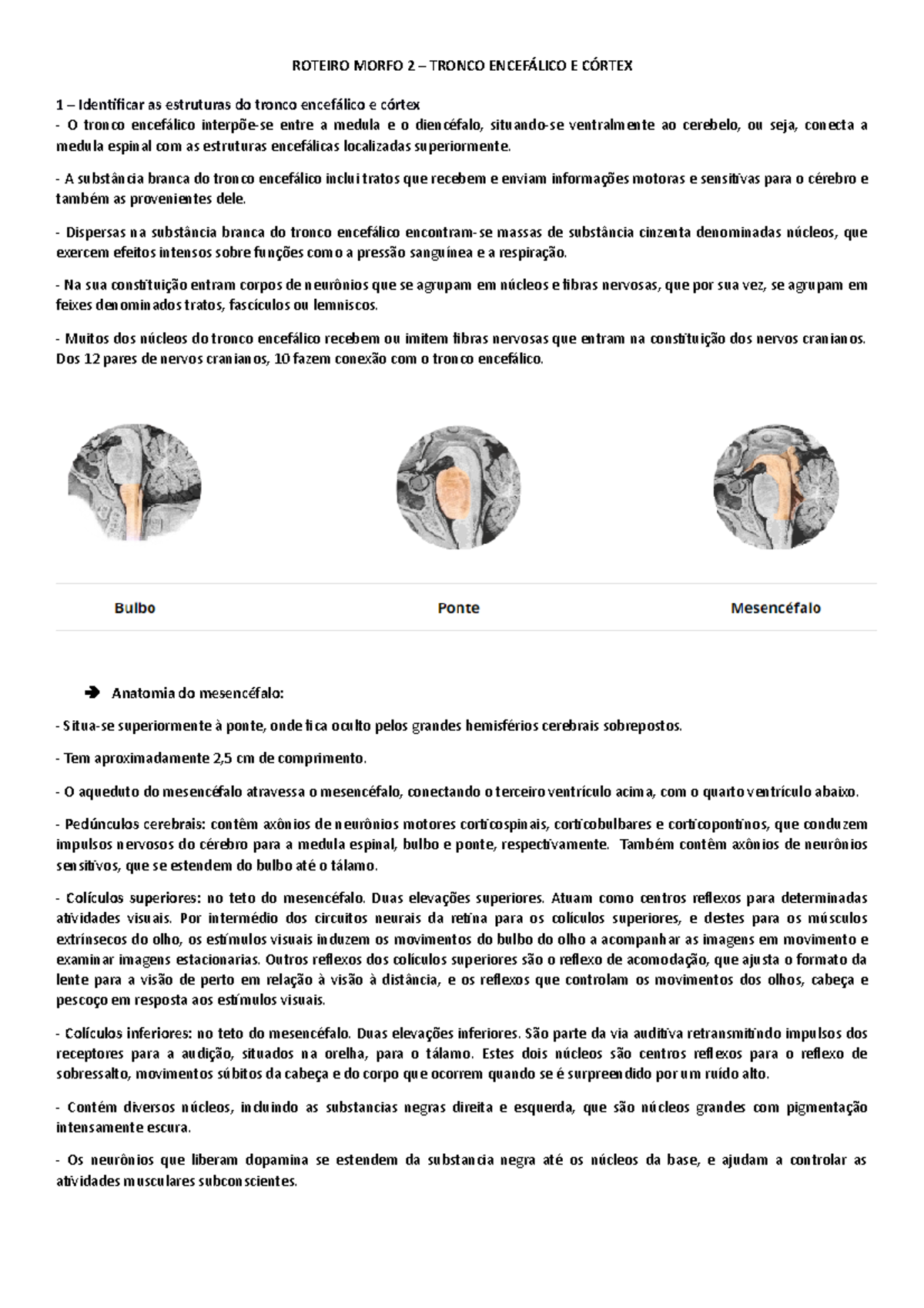 Roteiro Morfo 2 - ROTEIRO MORFO 2 – TRONCO ENCEFÁLICO E CÓRTEX 1 – Identificar as estruturas do ...