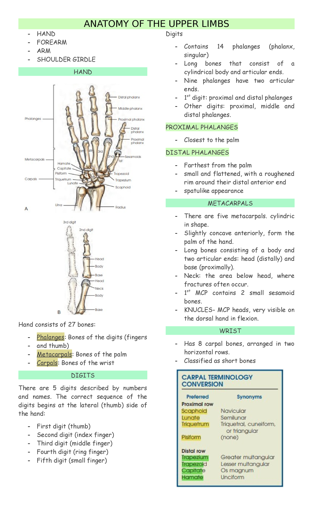Upper Limbs - reviewer - HAND - FOREARM - ARM - SHOULDER GIRDLE HAND ...