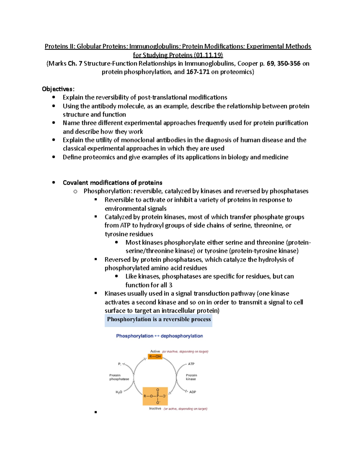 Chapter 7 Structure-Function Relationships in Immunoglobulins Outline ...