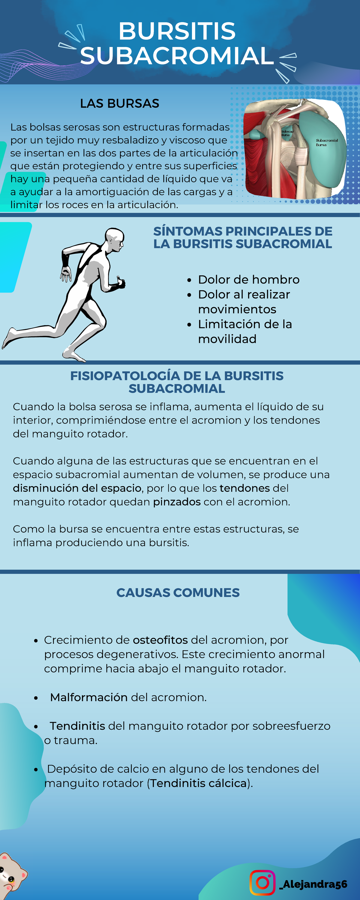 Bursitis subacromial - Cuando la bolsa serosa se inflama, aumenta el ...