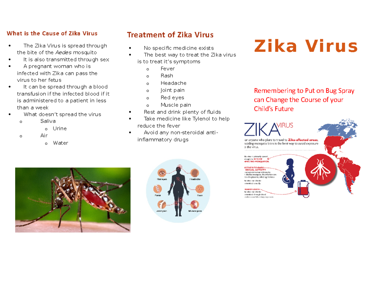 Biology PSA Zika Virus Brochure Presentation - What is the Cause of ...