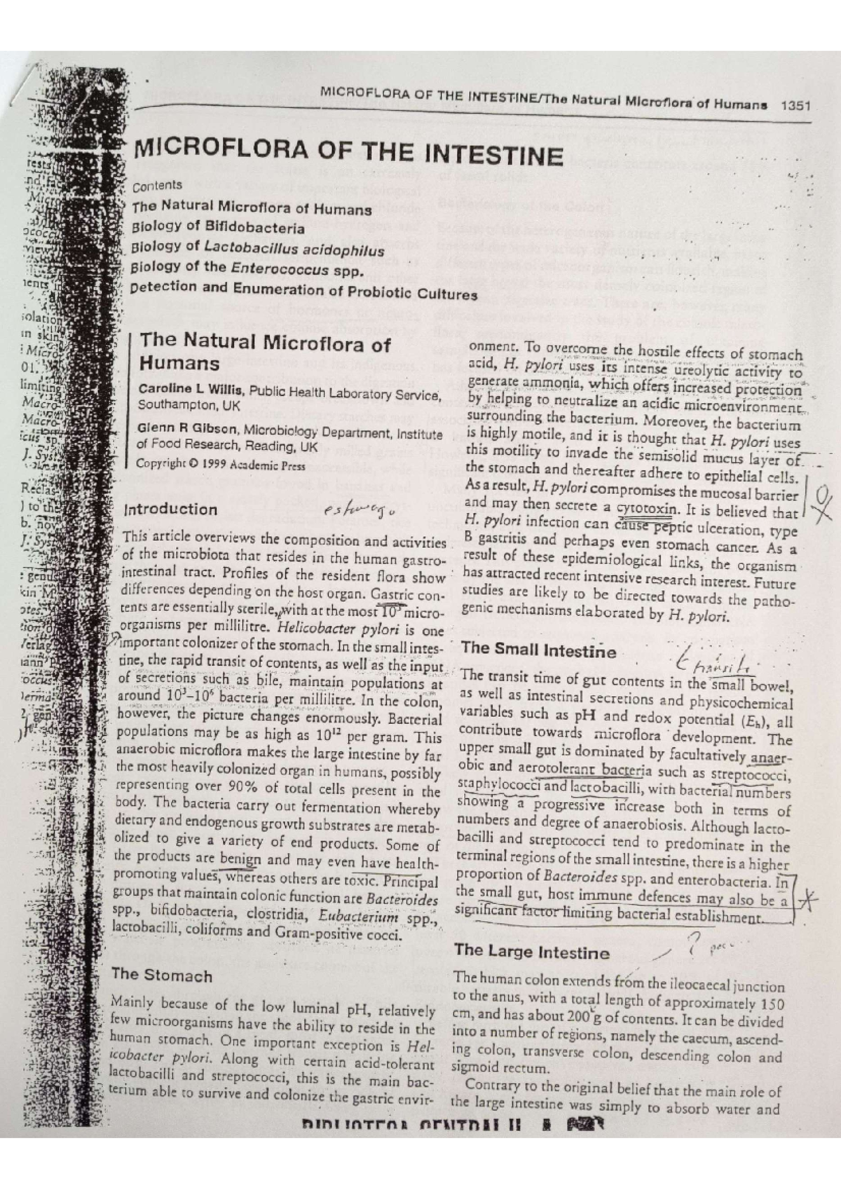 Microflora of the intestine - Optativa II - Studocu