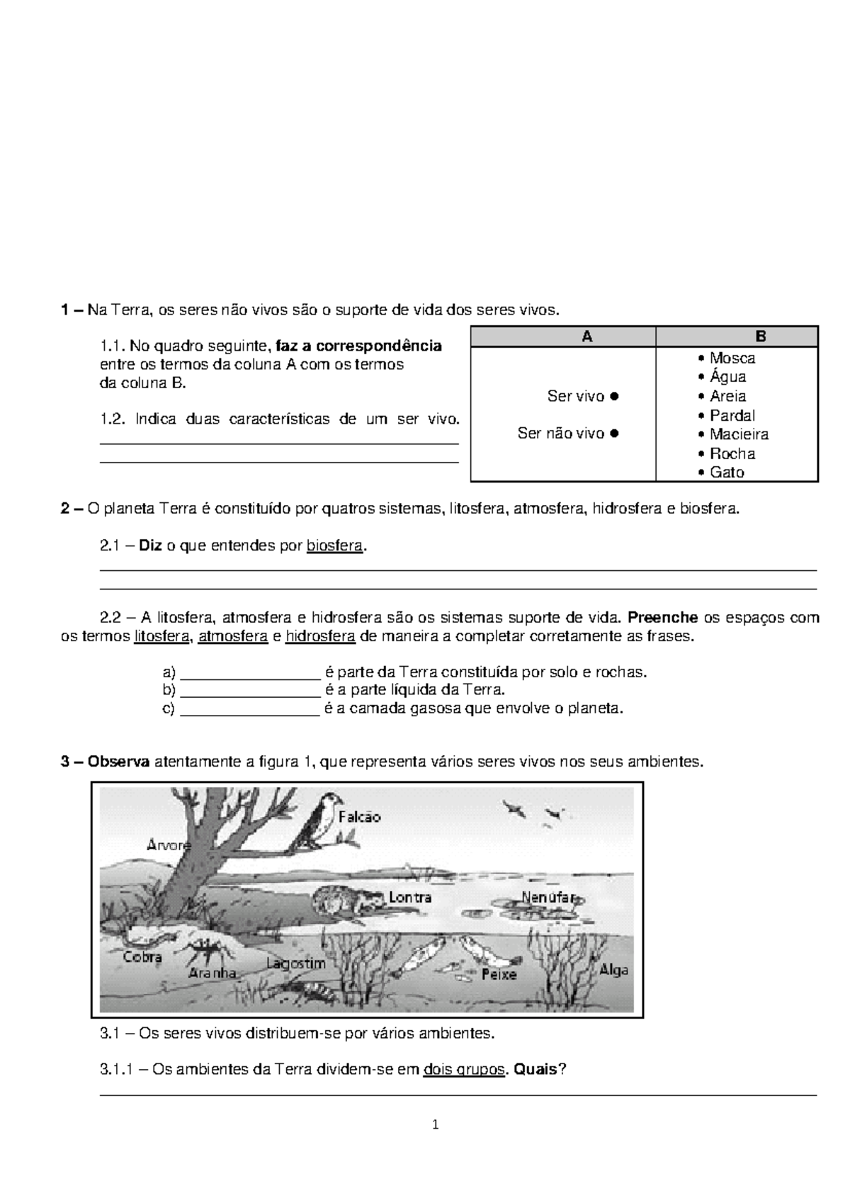 5º ano CN Ficha-Biosfera-revestimento-locomocao-pdf - 1 – Na Terra, os seres não vivos são o ...