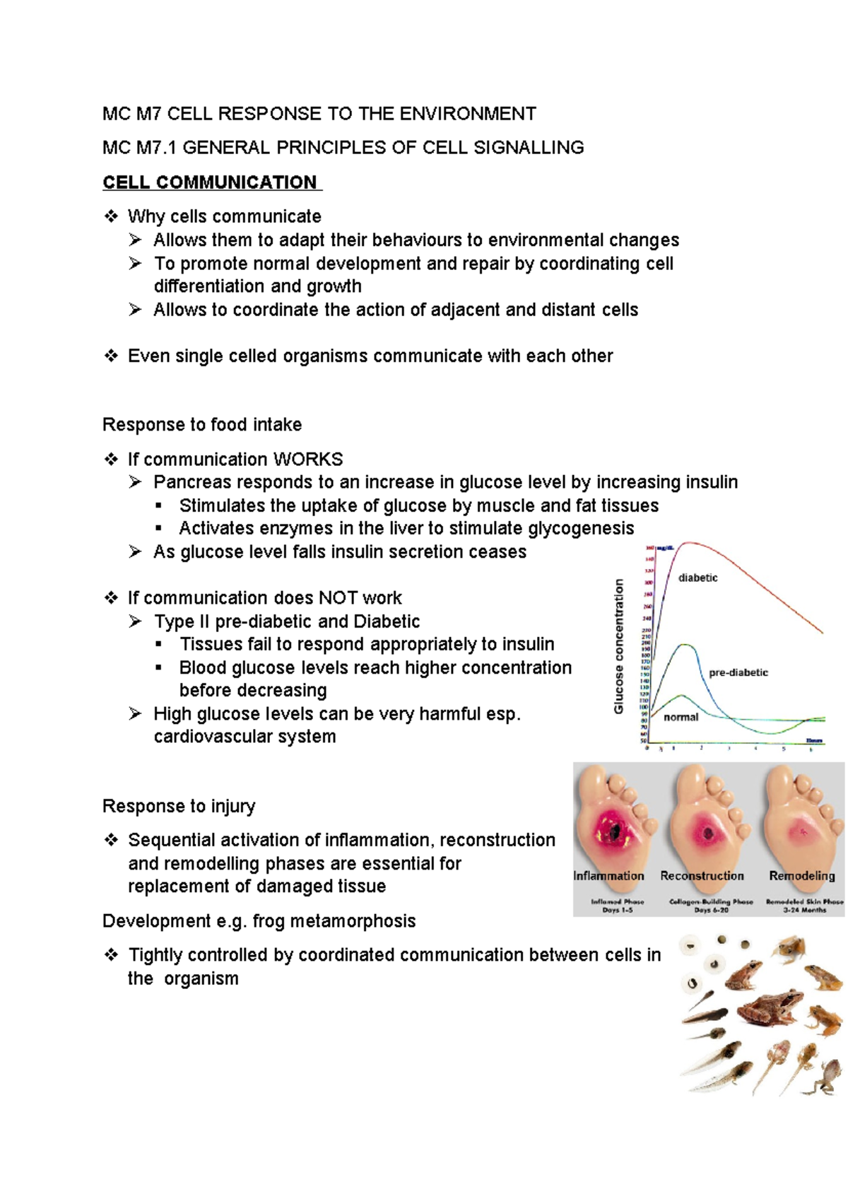 MC M7 CELL Response to the Environment - MC M7 CELL RESPONSE TO THE ...