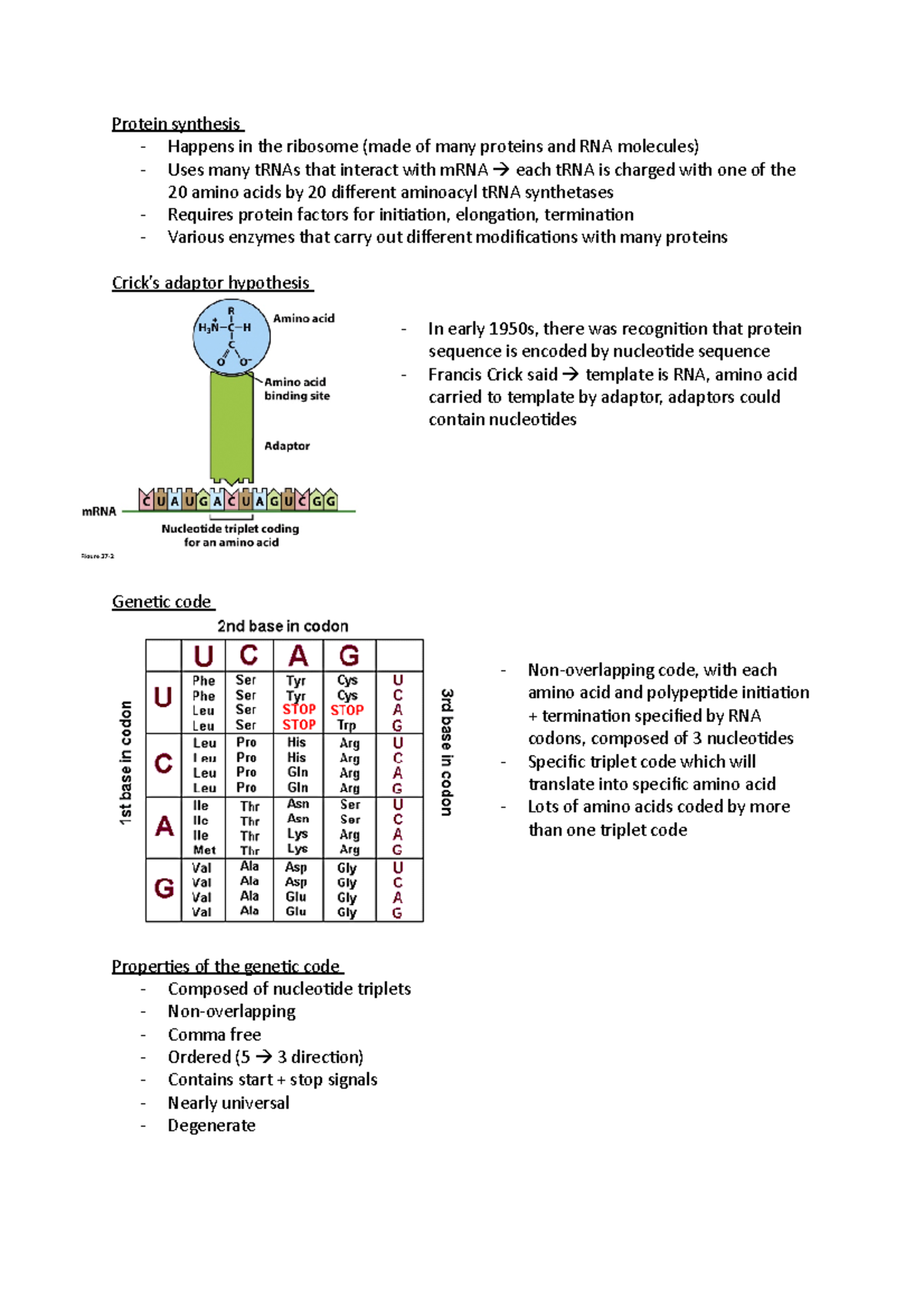 The genetic code - Protein synthesis - Happens in the ribosome (made of ...
