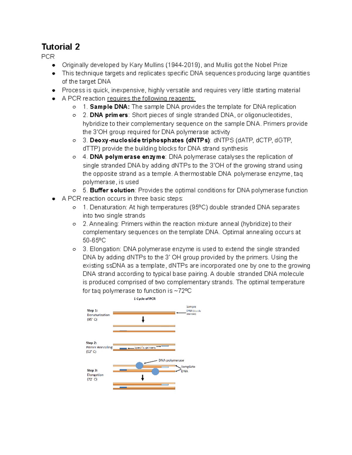 Tutorial 2 notes - Tutorial 2 PCR Originally developed by Kary Mullins ...