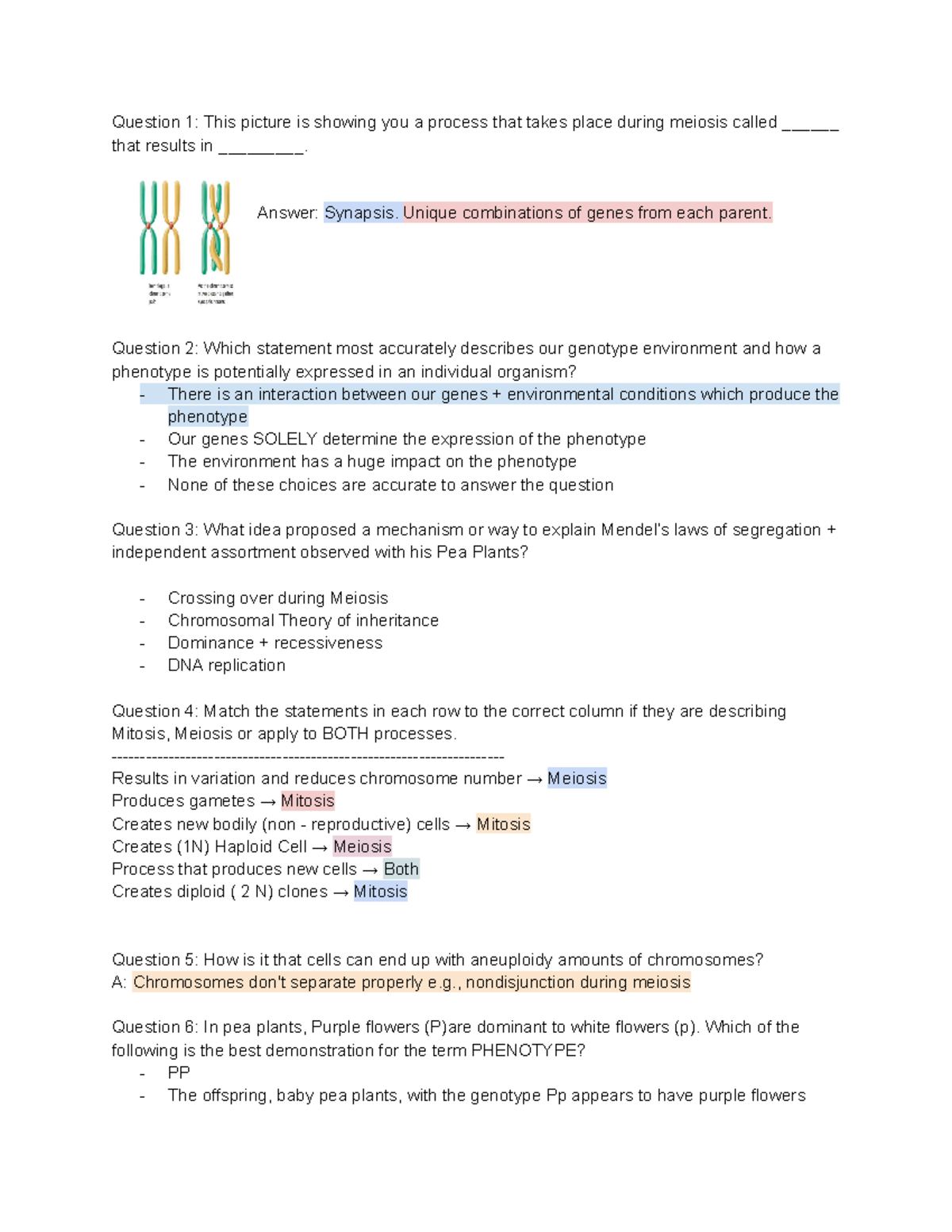 Genetics Unit Test review for grade year 1 - Question 1: This picture ...