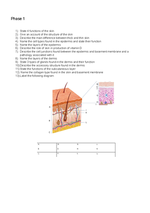 Functions and Structure of Skin: Quiz Answers - Studocu
