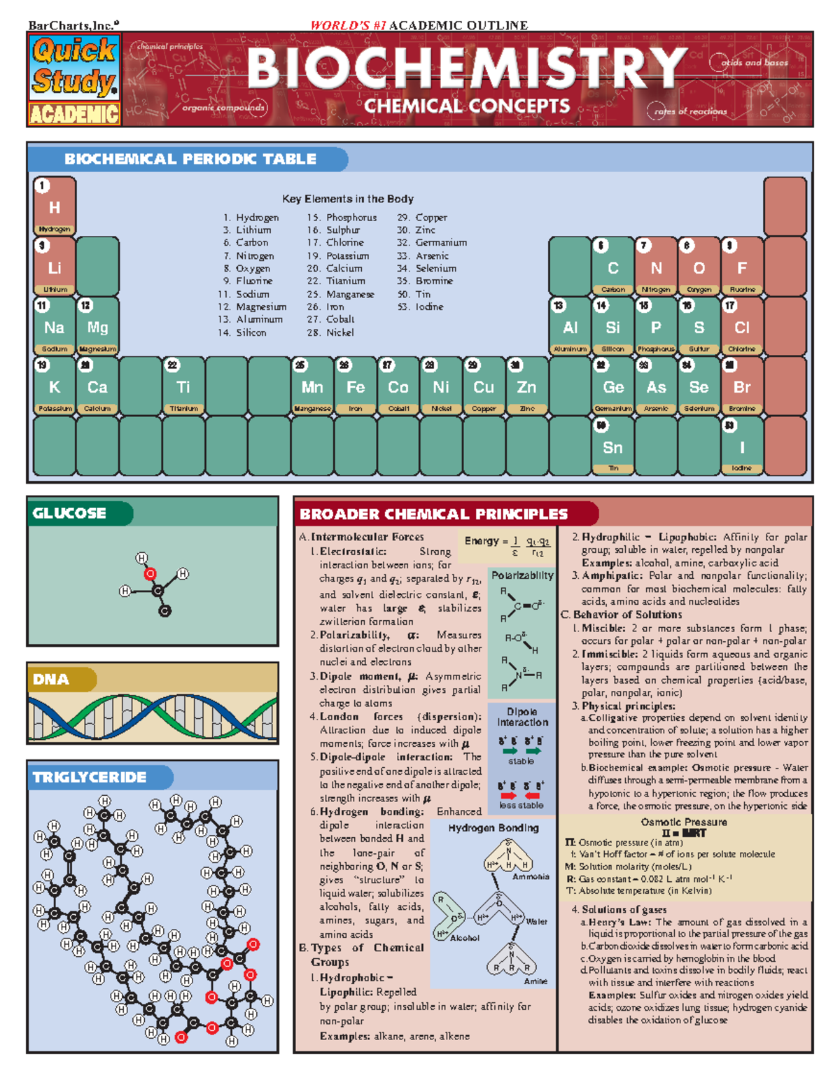 Bar Charts Quick Study Bio Chemistry - BarCharts,Inc.® WORLD’S #1 ...