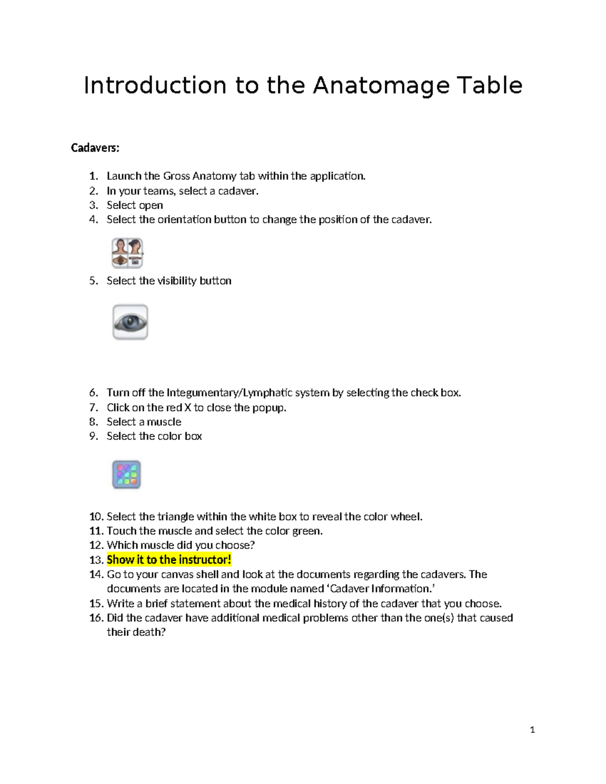 Week 1 Anatomage Table - Introduction to the Anatomage Table Cadavers ...