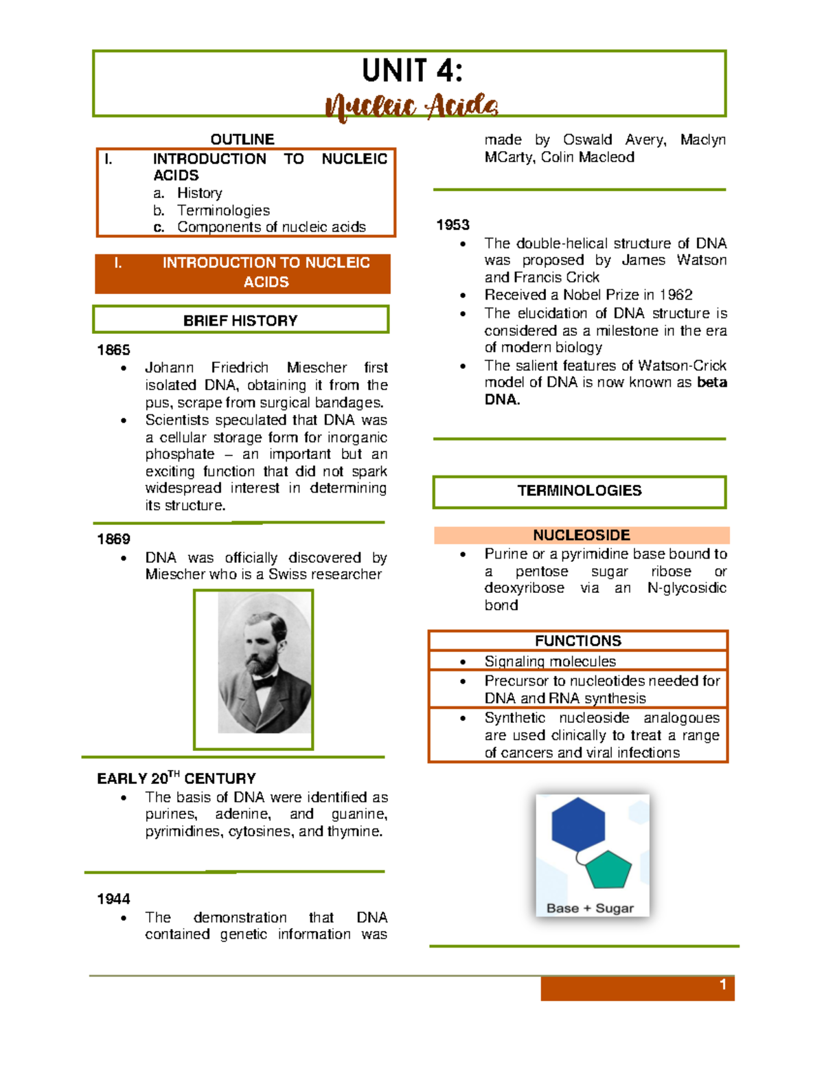 Chapter 4 - Introduction TO Nucleic Acids - Nucleic Acids OUTLINE I ...