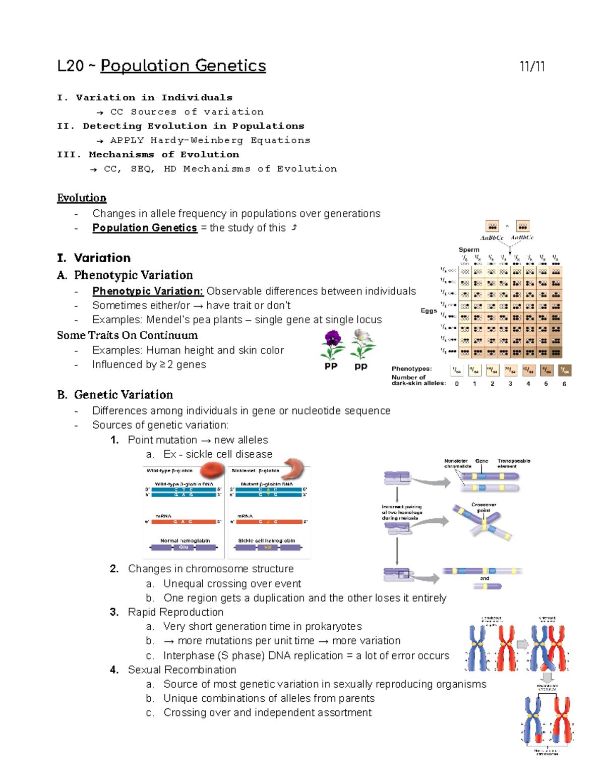 Lecture 20- Population Genetics - L20 ~ Population Genetics 11/ I ...