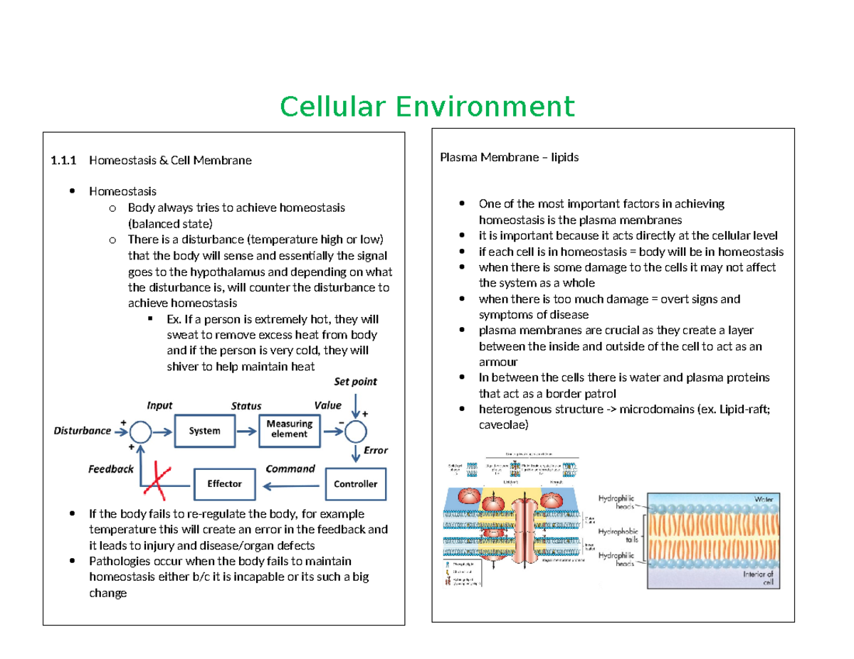 Module 1 Pathophysiology - Cellular Environment 1.1 Homeostasis & Cell ...