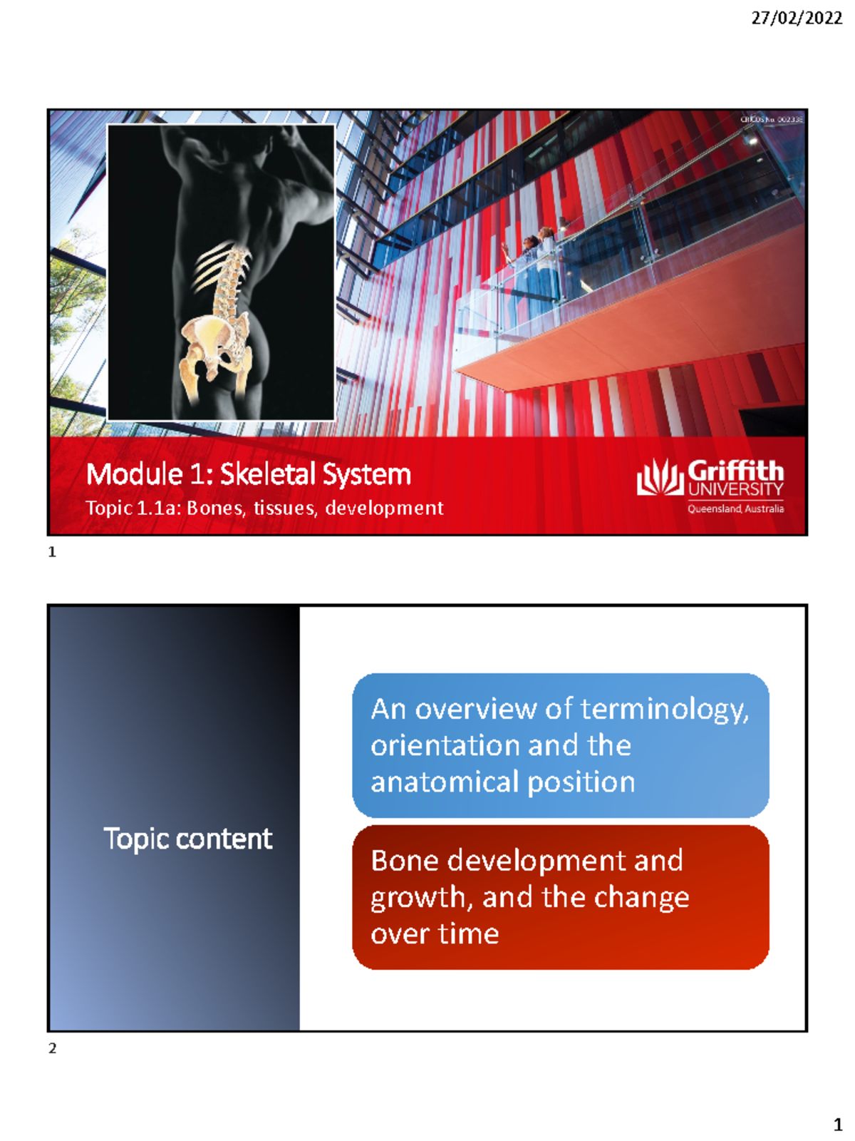 1016MSC 1 - dsdsd - Module 1 : Skeletal System Topic 1: Bones, tissues ...