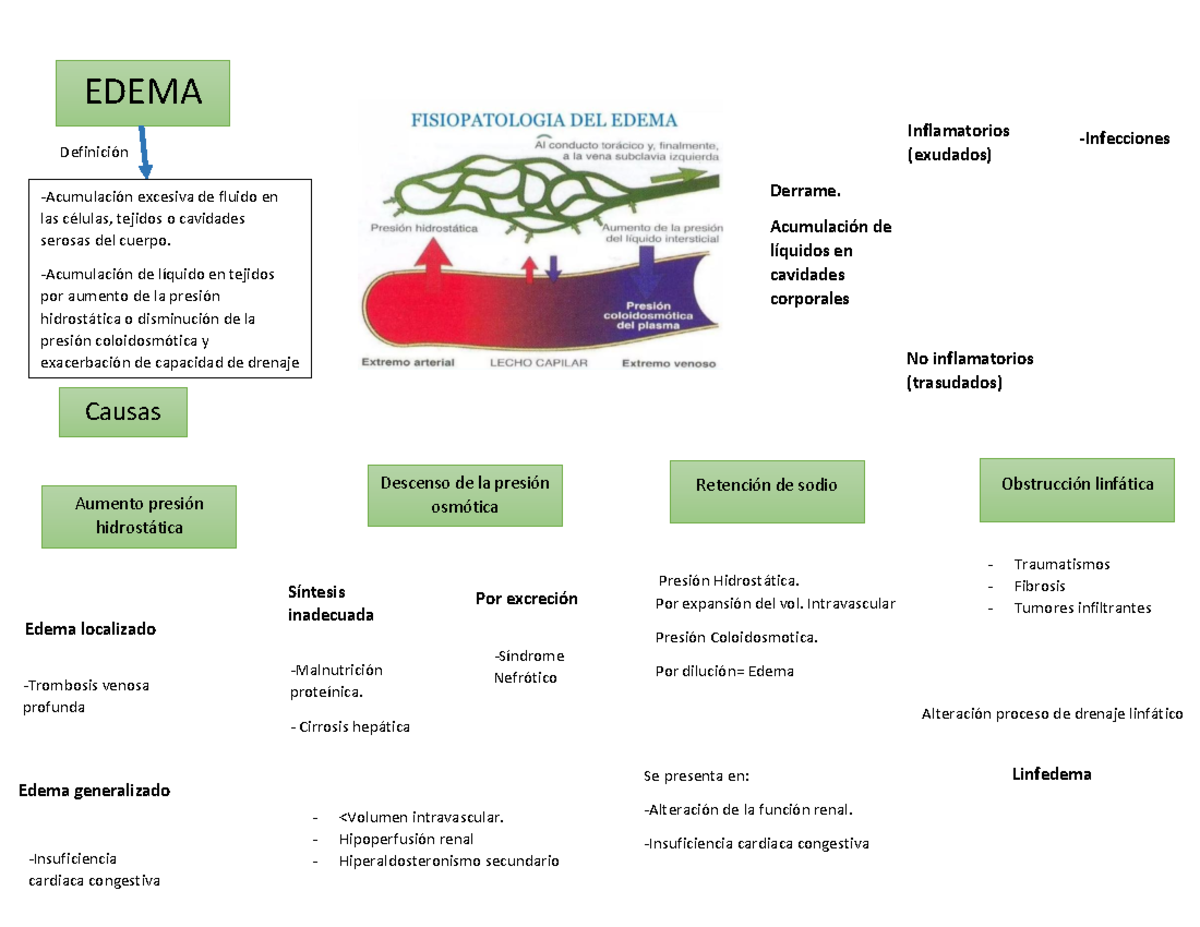 Fisiopatología Edema - EDEMA Definición -Acumulación excesiva de fluido en las células, tejidos ...