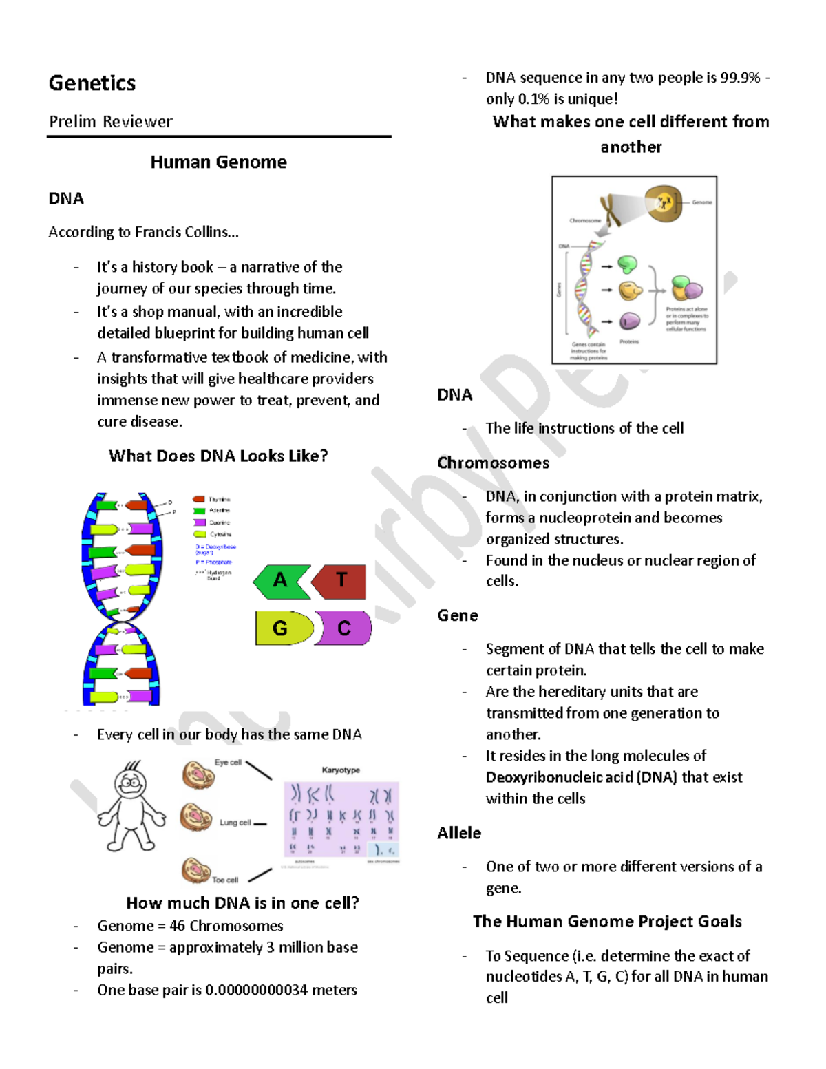 Genetics Reviewer - Genetics Prelim Reviewer Human Genome DNA According ...