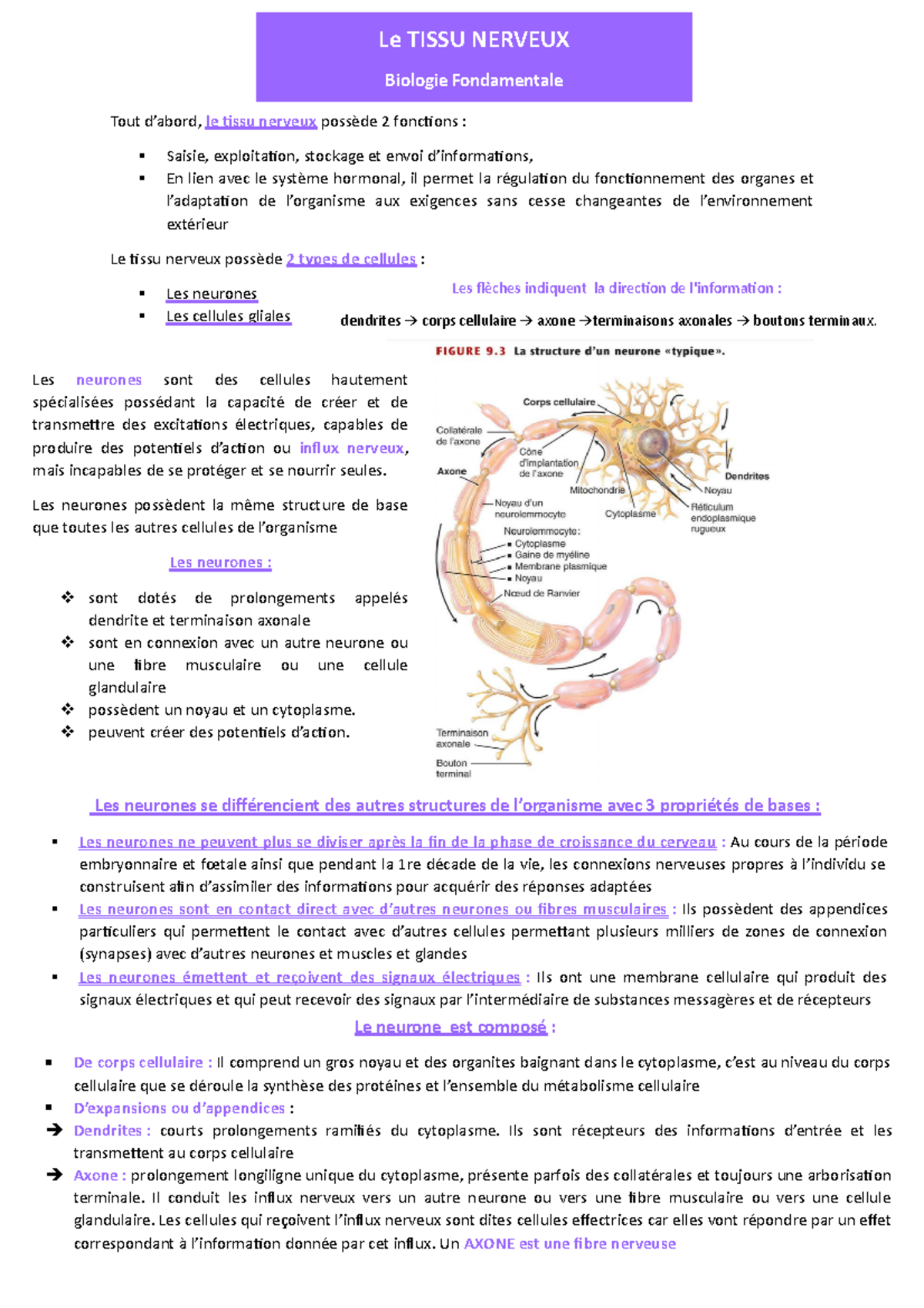 Le Tissu Nerveux - Notes de cours 3 - Tout d’abord, le tissu nerveux ...