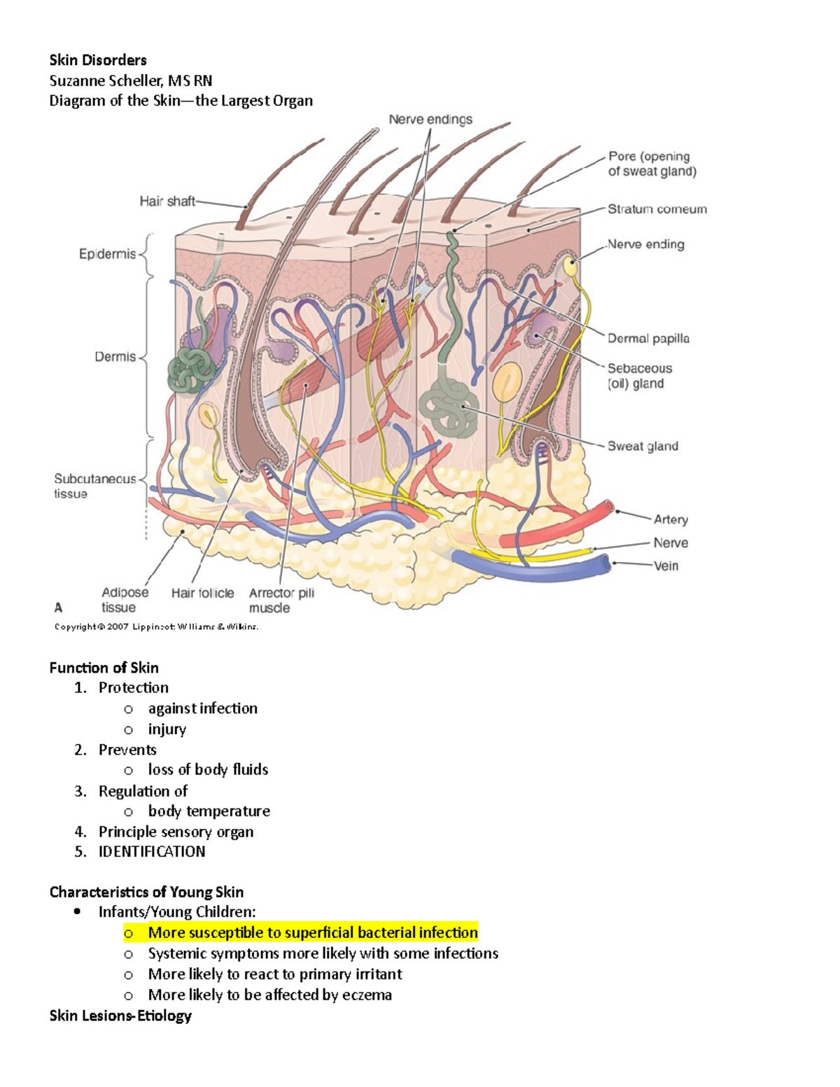 Skin Disorders PEDI - Skin Disorders Suzanne Scheller, MS RN Diagram of ...