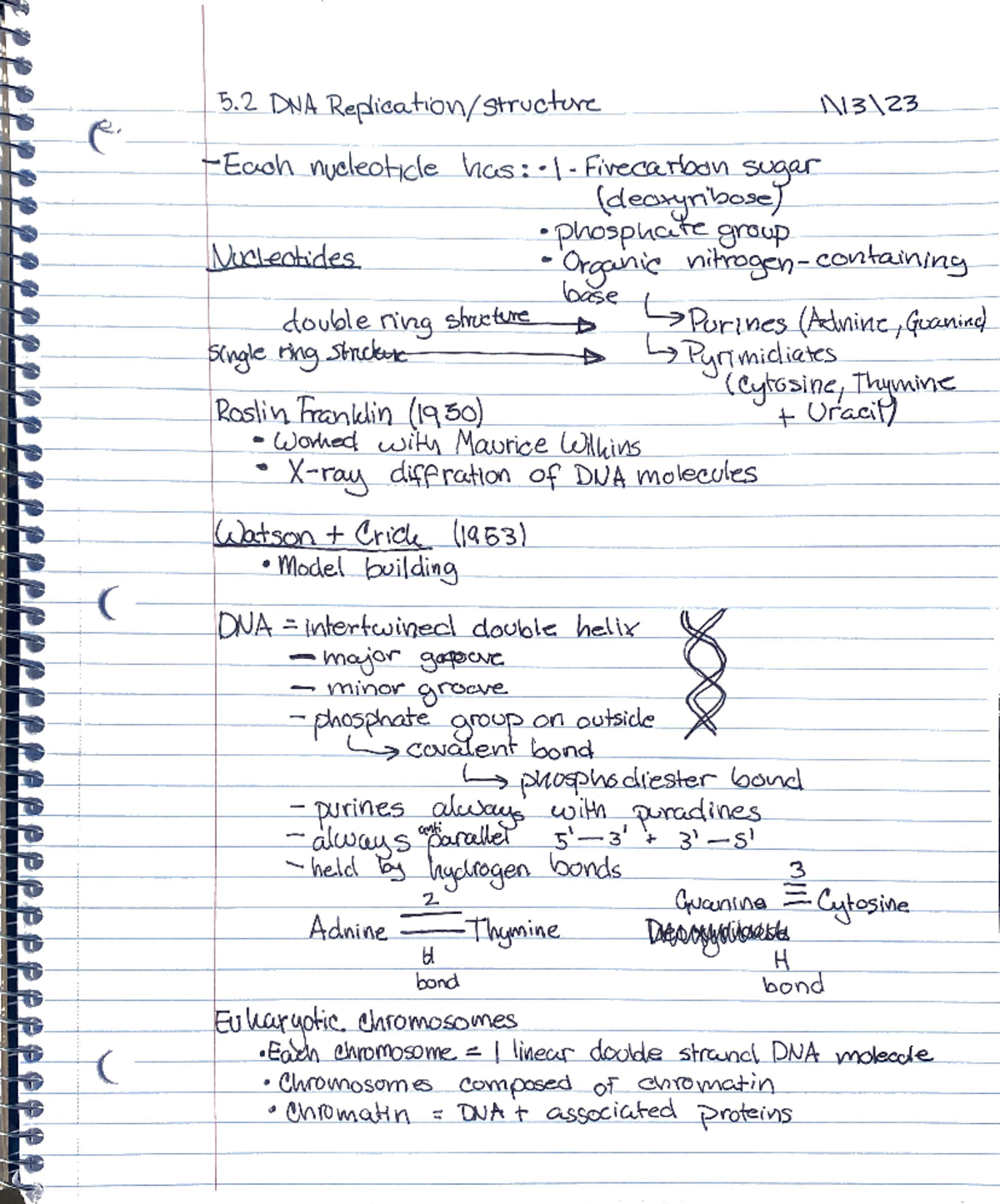 Bio 160 Notes Day 2 - BIO 160 - Studocu