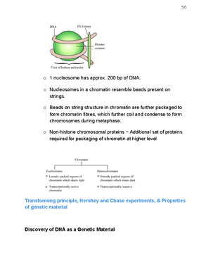 Post Lab 8 - Caroline Lab Report - DNA Replication, RNA Transcription ...