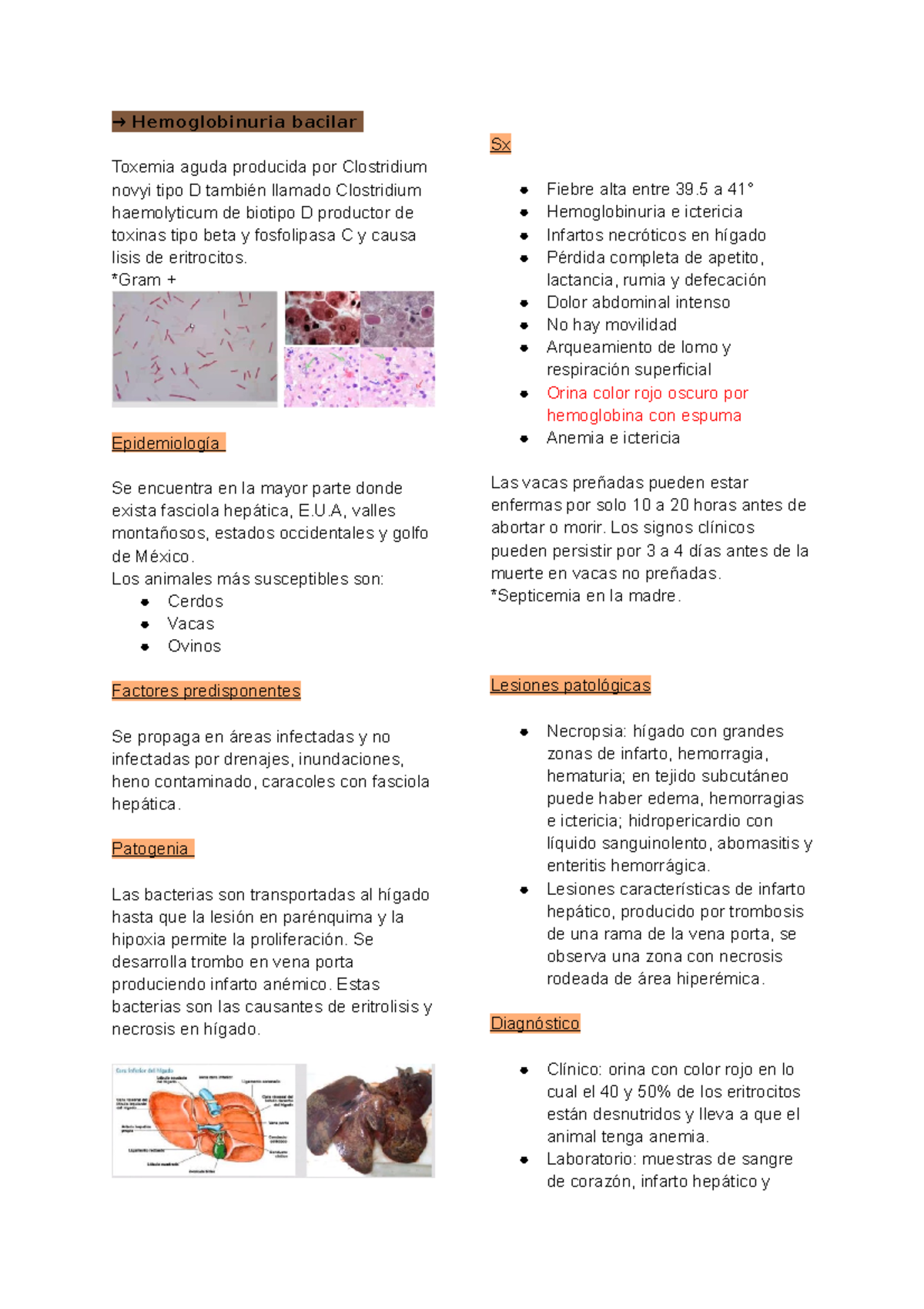 Hemoblobinuria bacilar - Enfermedades Infecciosas - Universidad de la ...