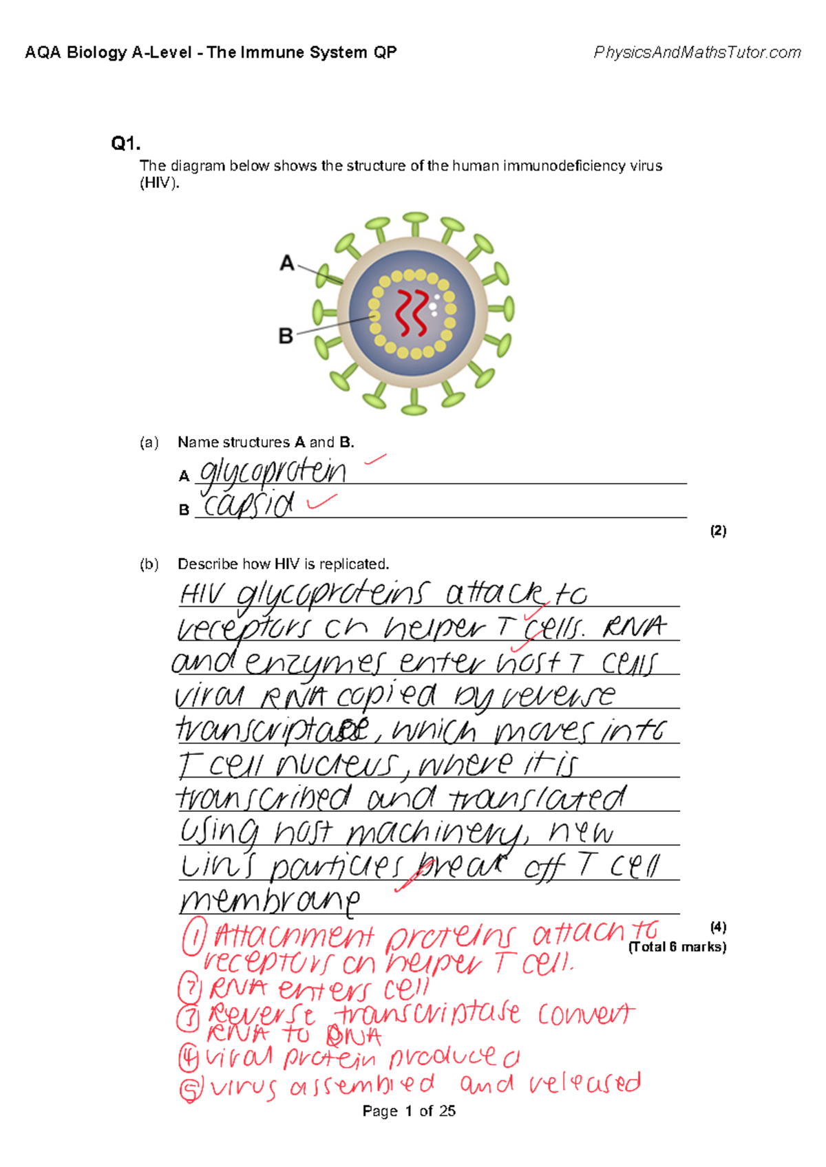 2.4 The Immune System QP - Q1. The diagram below shows the structure of ...
