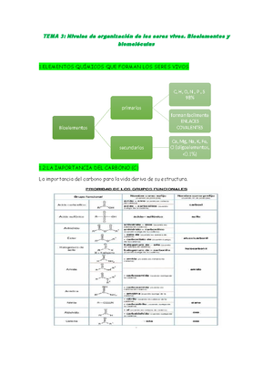 Practica 8 - organismos yogurt - Rocío Pomares Gómez 1BAT-BAAA Practica ...