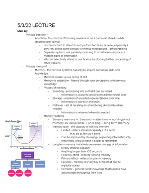 Ch. 7 Memory Flashcards Quizlet - Ch. 7 Memory Social Science Psychology Cognitive Psychology ...