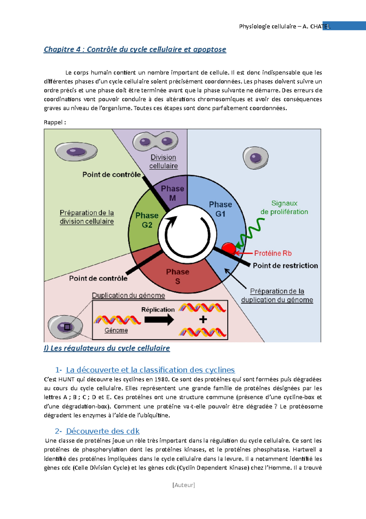 Chapitre 4 - Régulation nerveuse et hormonale - Chapitre 4 : Contrôle ...