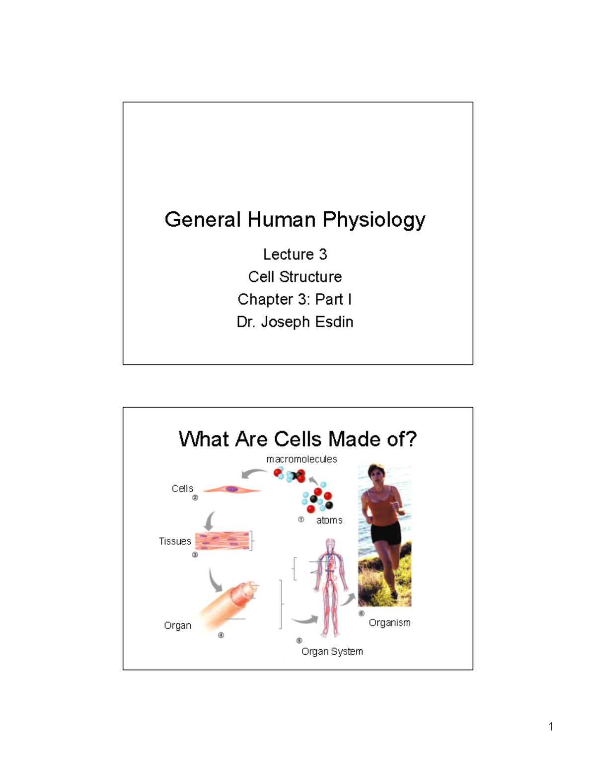 AVC Bio 202 Chapter 3A Cell Lecture Slides - General Human Physiology ...