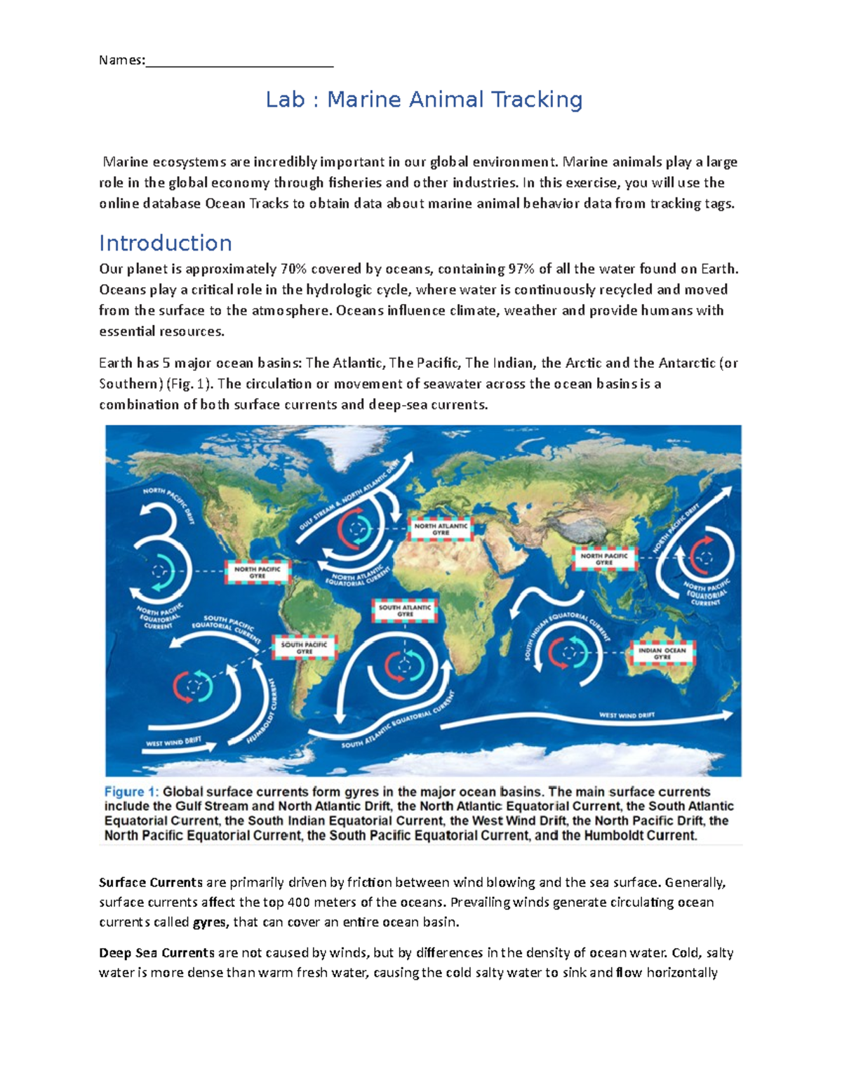 Lab 8 Marine Animal Tracking - Names:_________________________ Lab ...