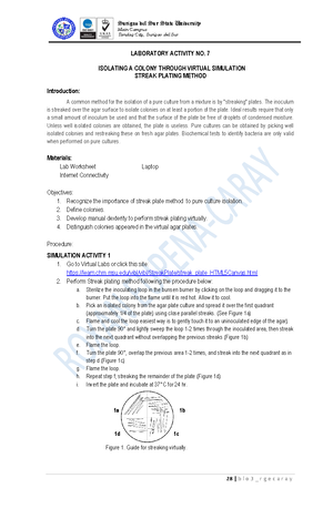 6TH SHS Commencement Exercises Script - SAN ANTONIO SCHOOL ARAS-ASAN ...