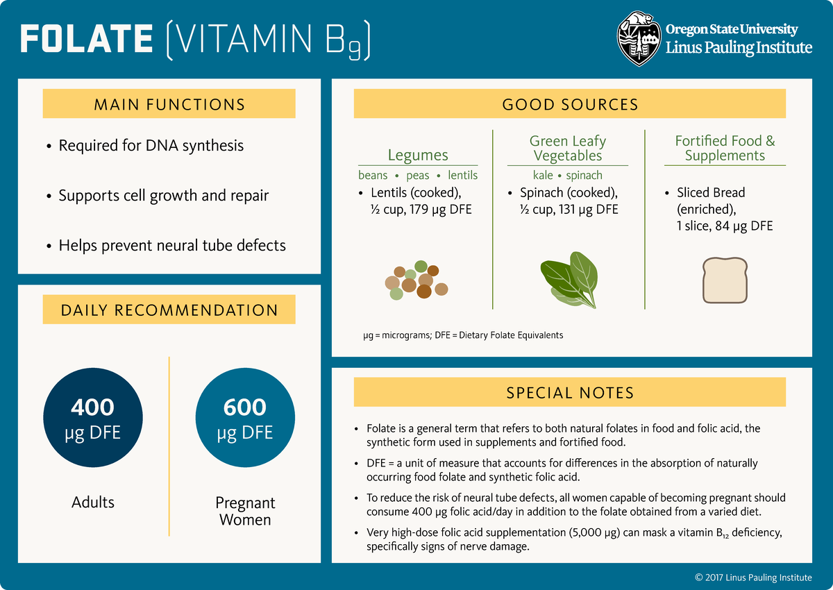 Folate-flashcard - folate - • Required for DNA synthesis • Supports ...