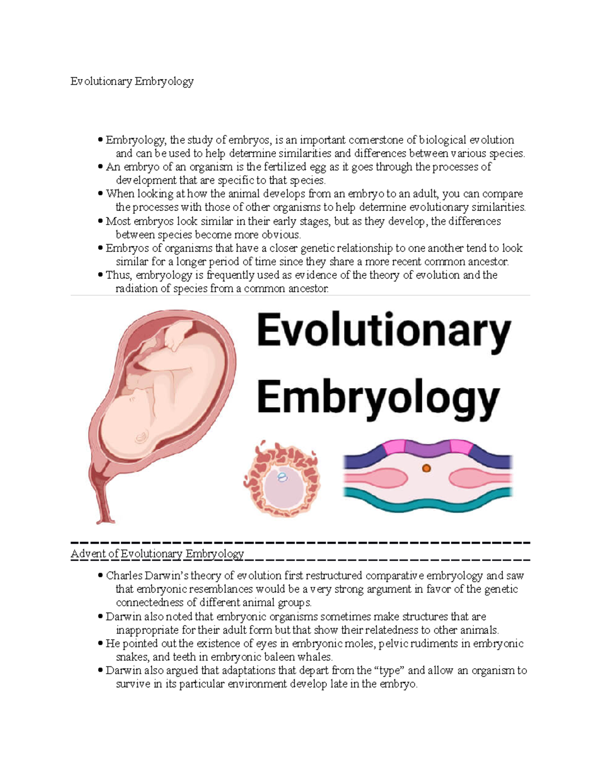 Evolutionary Embryology - An embryo of an organism is the fertilized egg as it goes through the ...