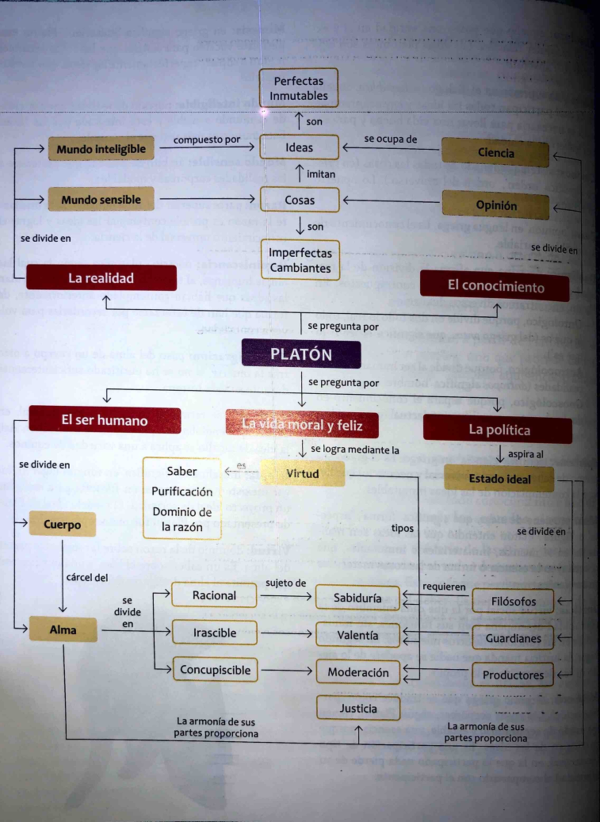 Mapa Conceptual Platón - ¡ compuesto por ) ' Mundo Inteligible ...