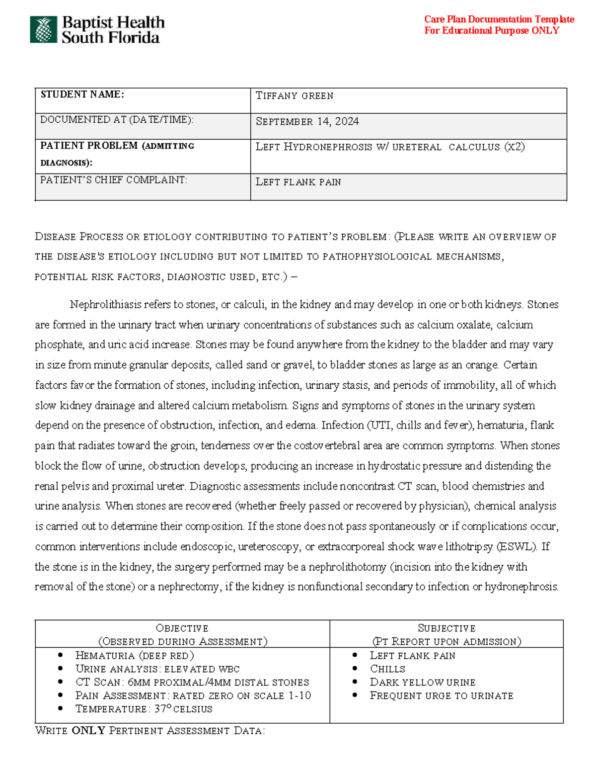 MedSurg3 Care plan AKI - Care Plan Documentation Template For ...
