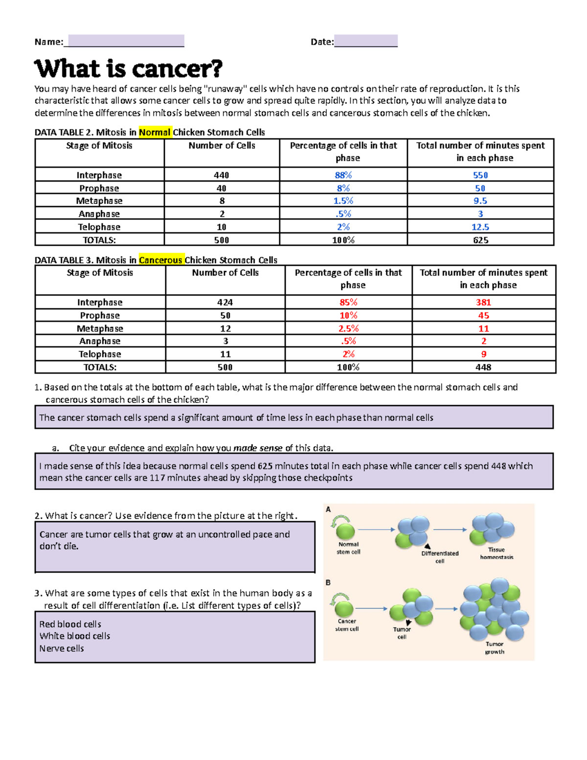 Copy of What is Cancer - Name:_______________________ Date ...