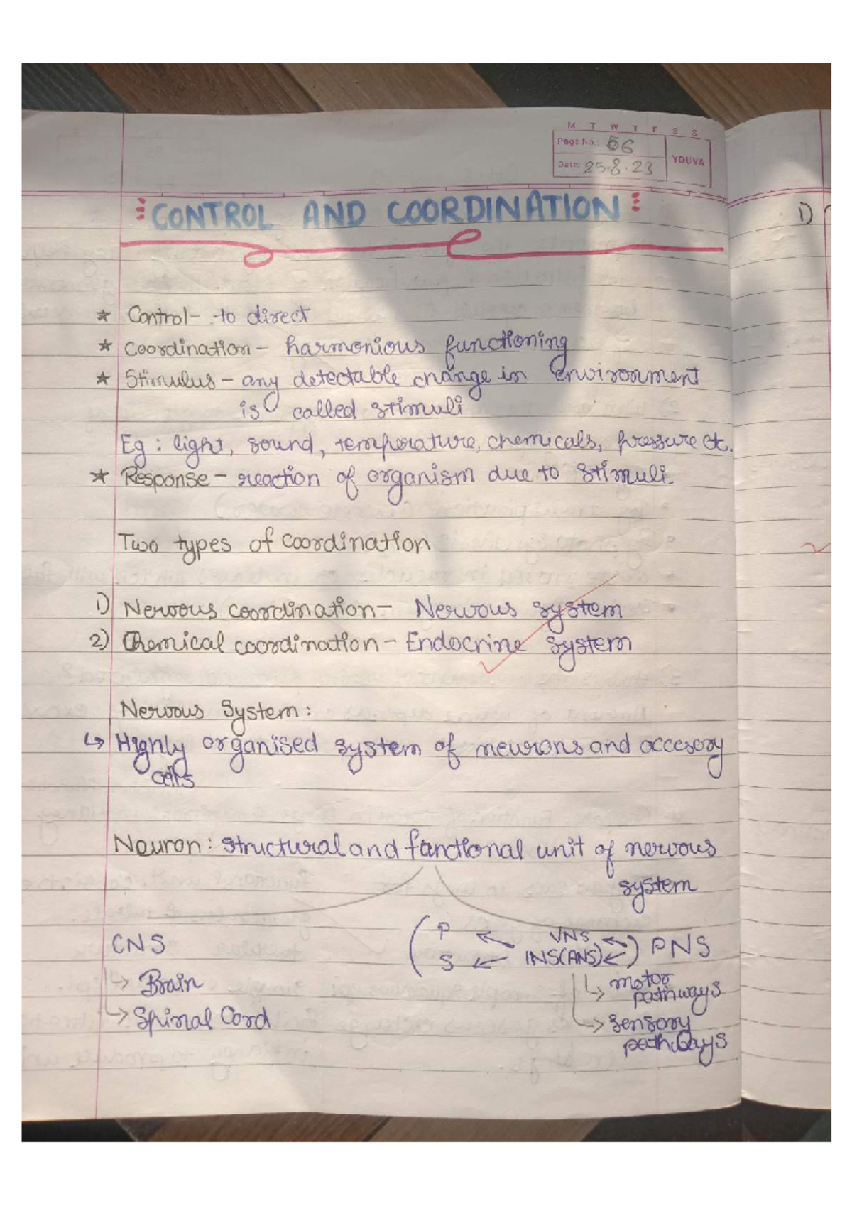 Biology Control and Coordination Class 10 NOTES - Biology SL - Studocu