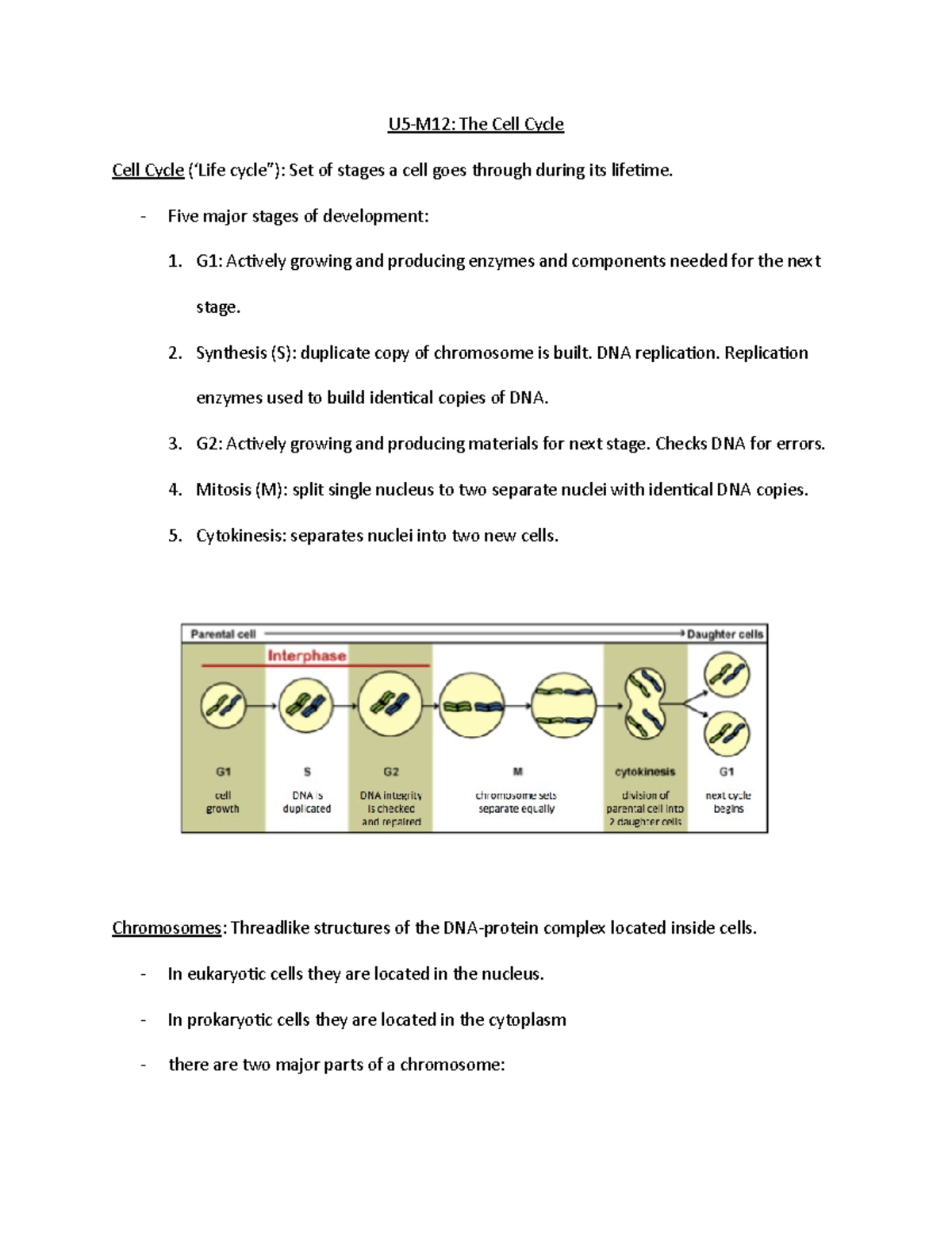 C190 Module 12: The Cell Cycle - U5-M12: The Cell Cycle Cell Cycle ...