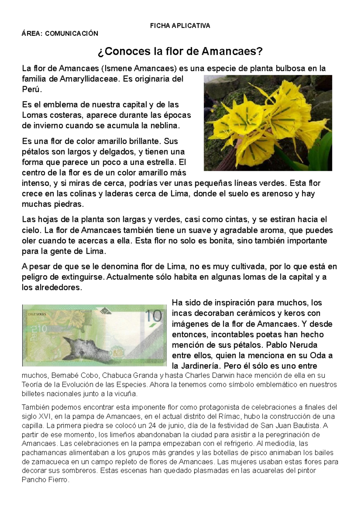 Ficha leemos sobre la Flor de Amancaes - FICHA APLICATIVA ÁREA ...